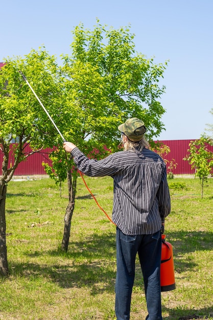 Premium Photo A Gardener Treats Fruit Trees From Insect Pests And