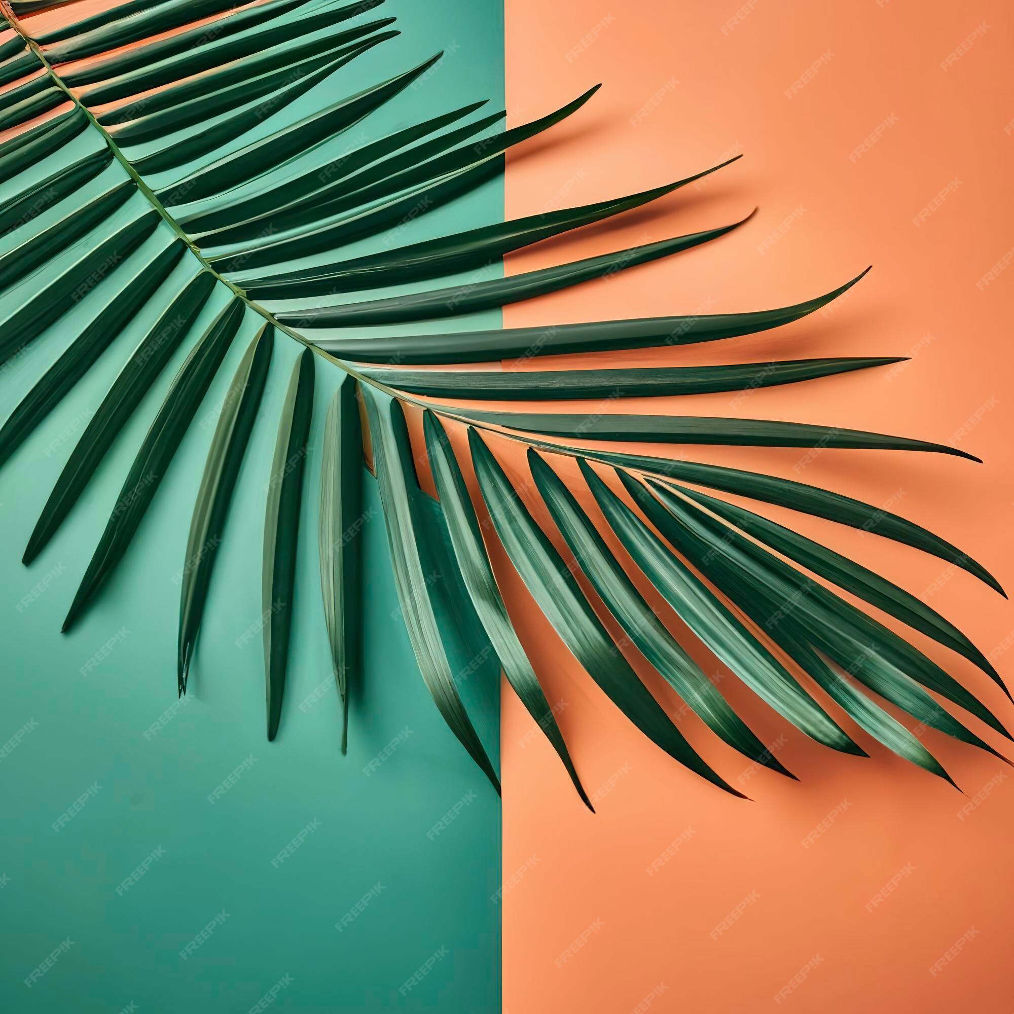 Premium Photo Green Palm Leaves Pattern For Nature Concepttropical
