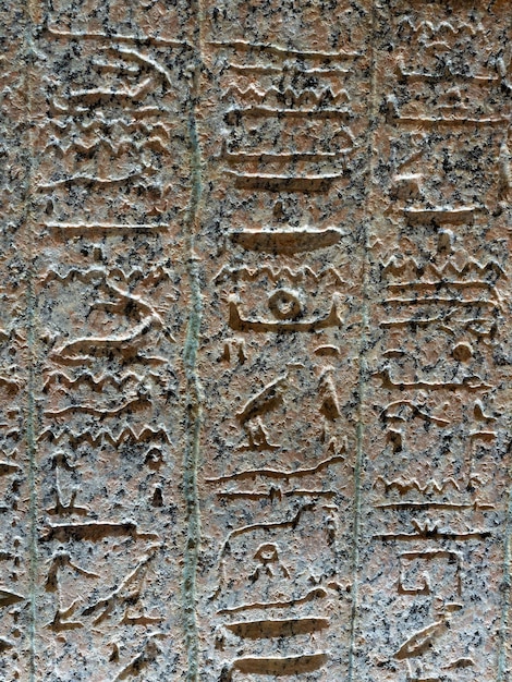 Premium Photo | Hieroglyphics at Valley of the Kings Luxor Egypt Premium Photo | Hieroglyphics at Valley of the Kings Luxor Egypt