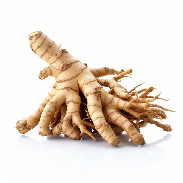 Premium AI Image | Isolated Ginger Root Culinary Delight on White ... Premium AI Image | Isolated Ginger Root Culinary Delight on White ...