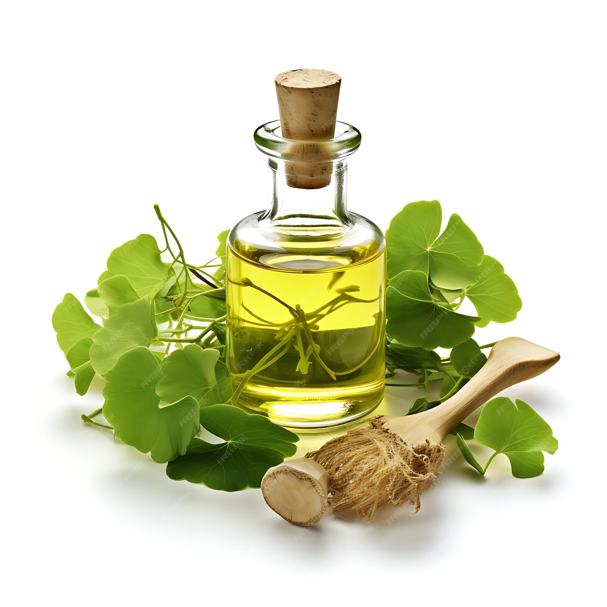Premium Ai Image Isolated Of Ginkgo Biloba Extract Type Of Herb Ginkgo Biloba Form Of Her On