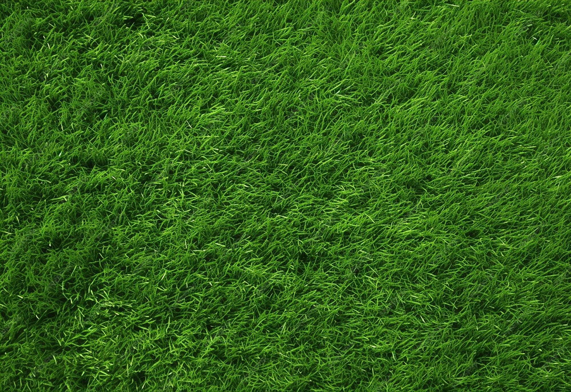 Premium Photo | Lush Green Grass Texture Background Premium Photo | Lush Green Grass Texture Background