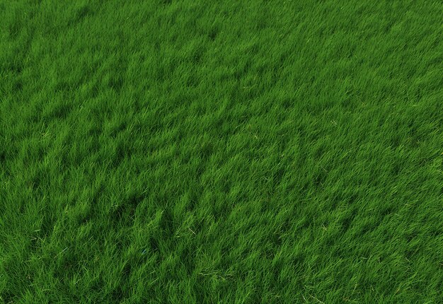 Premium Photo | Lush Green Grass Texture Background Premium Photo | Lush Green Grass Texture Background