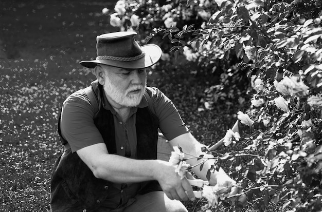 Premium Photo Mature Man Gardener Senior Planting Flowers At Garden