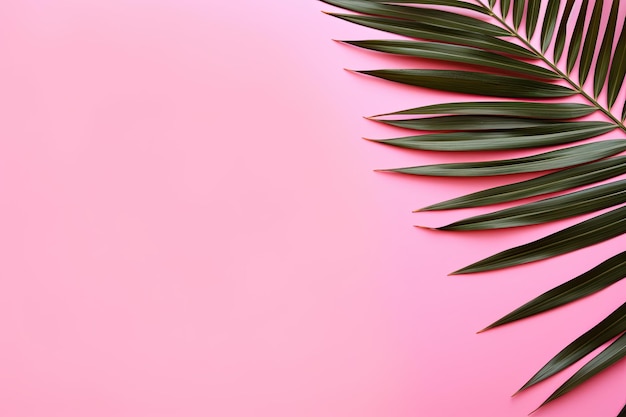 Modern Color Background With Copyspace Copy Space For Mockup Template Empty Blank Space For