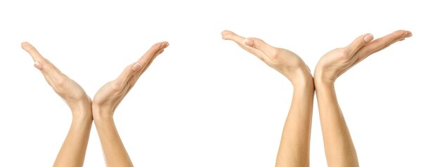Premium Photo | Multiple images set of female caucasian hand with ... Premium Photo | Multiple images set of female caucasian hand with ...