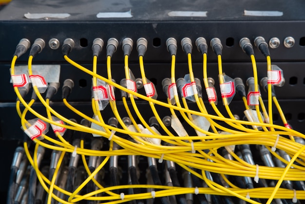 Premium Photo | Network cables connected in network switches Premium Photo | Network cables connected in network switches