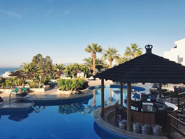 Premium Photo | Palm trees in swimming pool Premium Photo | Palm trees in swimming pool