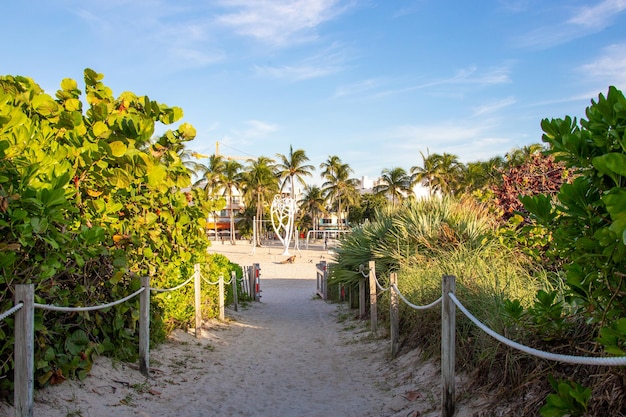 Premium Photo | Path access to south beach in miami florida Premium Photo | Path access to south beach in miami florida