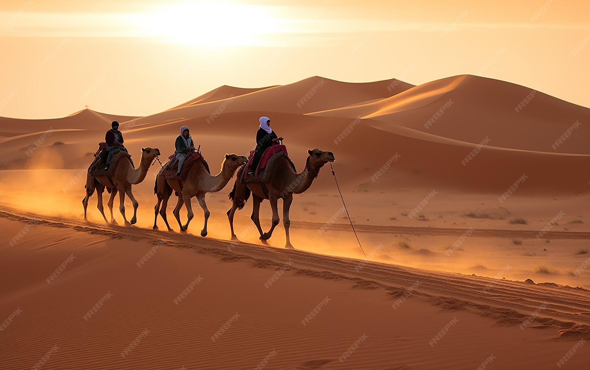 ラクダに乗って砂漠を旅する人々の写真 プレミアム写真