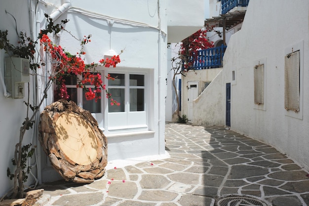 Premium Photo | Picturesque Naousa town street on Paros island Greece Premium Photo | Picturesque Naousa town street on Paros island Greece
