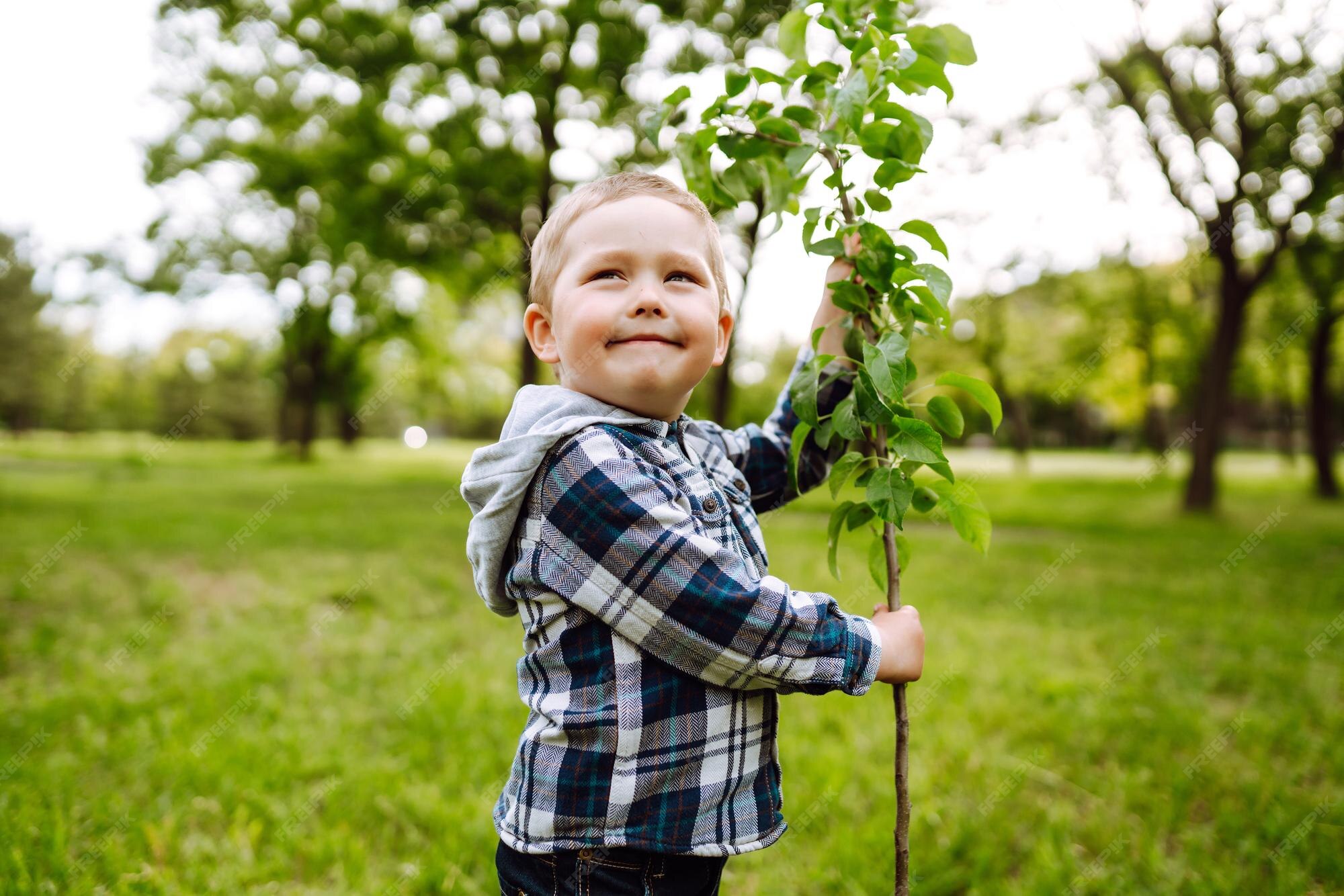 Premium Photo | Planting a family tree little boy helping his ... Premium Photo | Planting a family tree little boy helping his ...