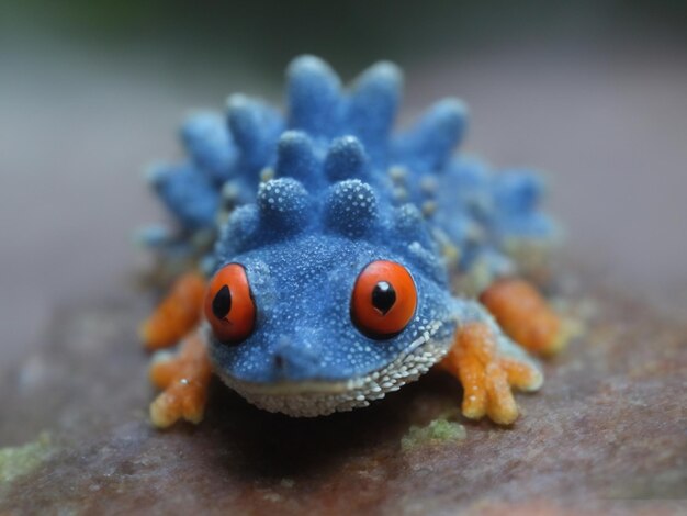 Premium AI Image | poison dart frog land vertebrates poison frog Premium AI Image | poison dart frog land vertebrates poison frog
