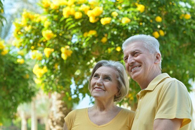 Premium Photo Portrait Of Beautiful Caucasian Senior Couple Hugging