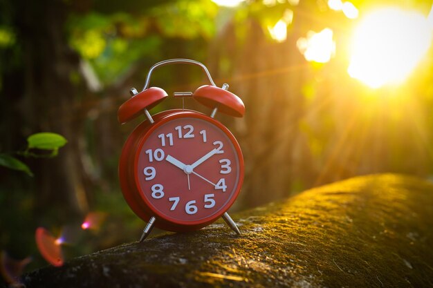 Premium Photo | Red alarm clock Premium Photo | Red alarm clock