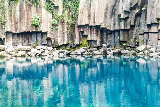 Premium Photo | Reflection of building in swimming pool Premium Photo | Reflection of building in swimming pool