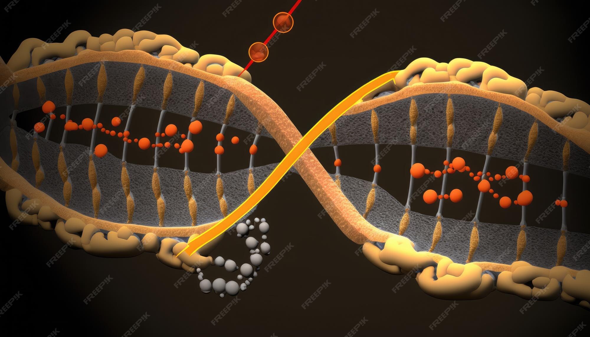 Premium AI Image | A Rna Interference Rnai Pathway Showing The ... Premium AI Image | A Rna Interference Rnai Pathway Showing The ...