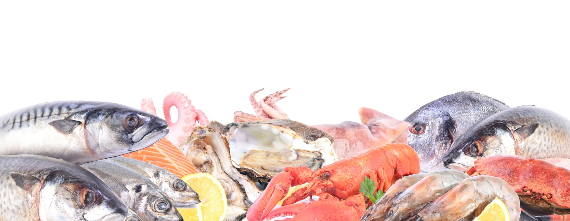 Premium Photo | Seafood on a white background Premium Photo | Seafood on a white background