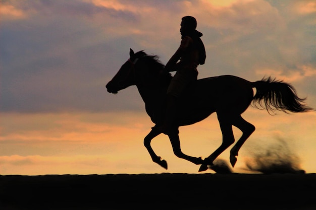 Premium Photo | Silhouette man riding horse Premium Photo | Silhouette man riding horse