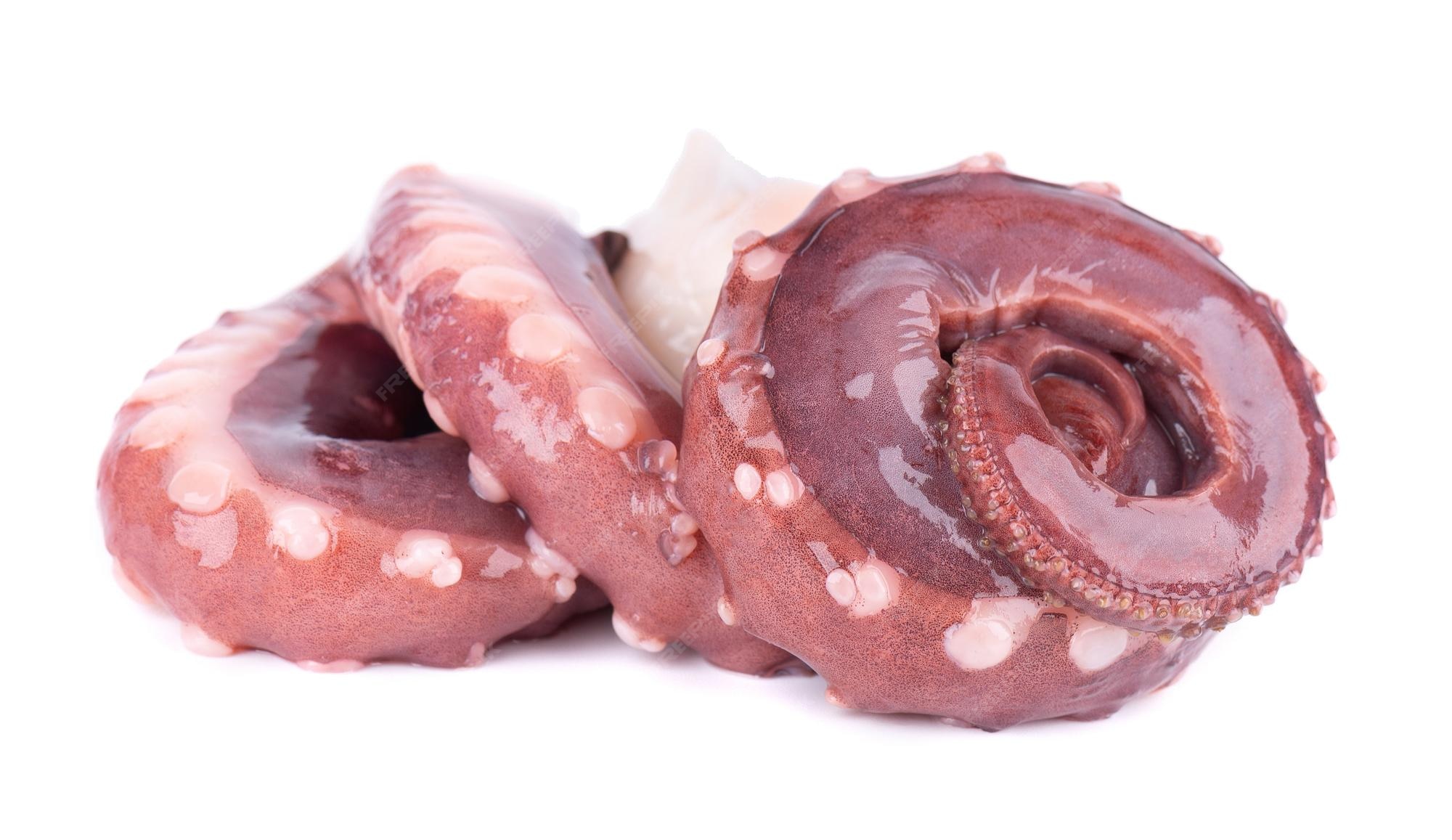 Premium Photo Squid Tentacles Isolated On White Background Fresh Raw Gigant Squid