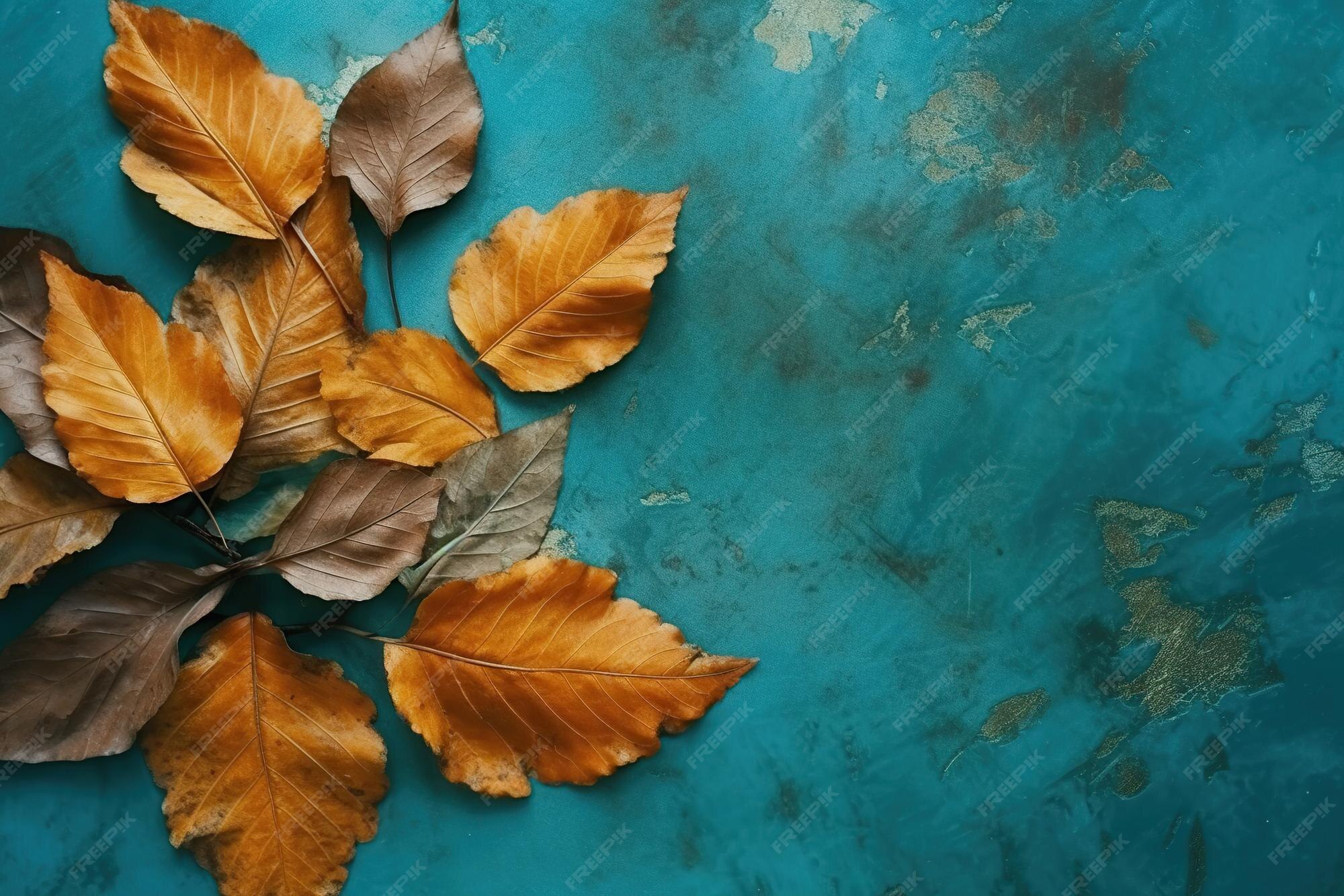 Premium Photo | Top view of autumn leaves on a blue background Premium Photo | Top view of autumn leaves on a blue background