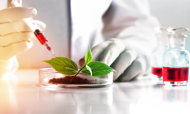 Premium Photo | Toxicology add agent alternative analysis anti-aging ... Premium Photo | Toxicology add agent alternative analysis anti-aging ...