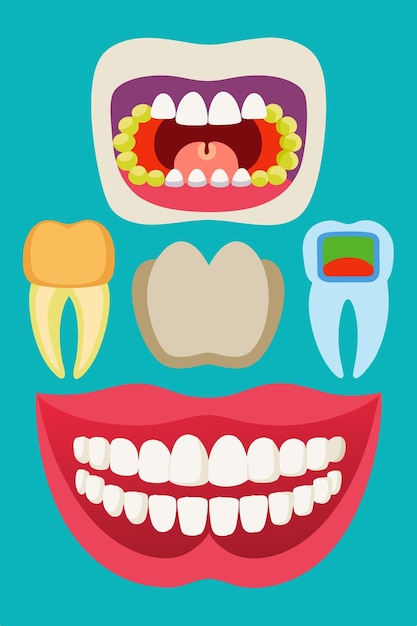 Types of human teeth | Premium AI-generated image Types of human teeth | Premium AI-generated image