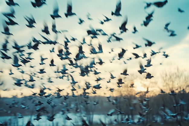 Understanding how changing weather patterns affect generative ai ... Understanding how changing weather patterns affect generative ai ...