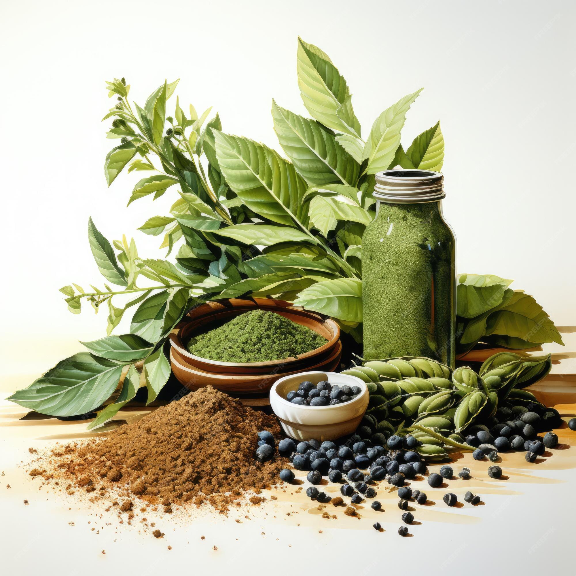 Premium Photo | Use the delicate spice watercolor illustrations to ... Premium Photo | Use the delicate spice watercolor illustrations to ...