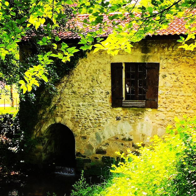 Premium Photo View Of House And Trees
