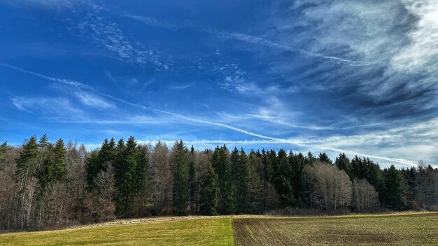 Premium Photo | Warten auf den fruhling Premium Photo | Warten auf den fruhling