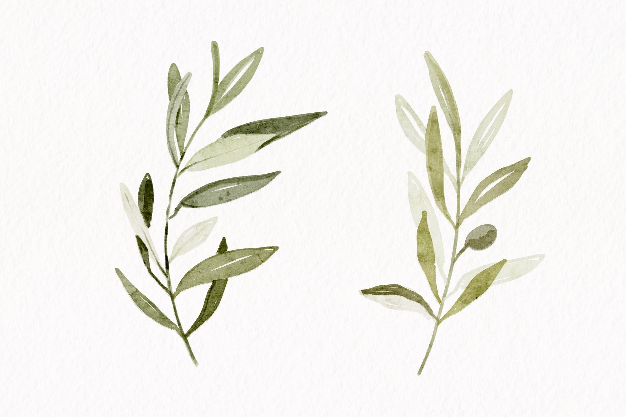 Premium Photo | Watercolor green floral. watercolor leaves. Premium Photo | Watercolor green floral. watercolor leaves.