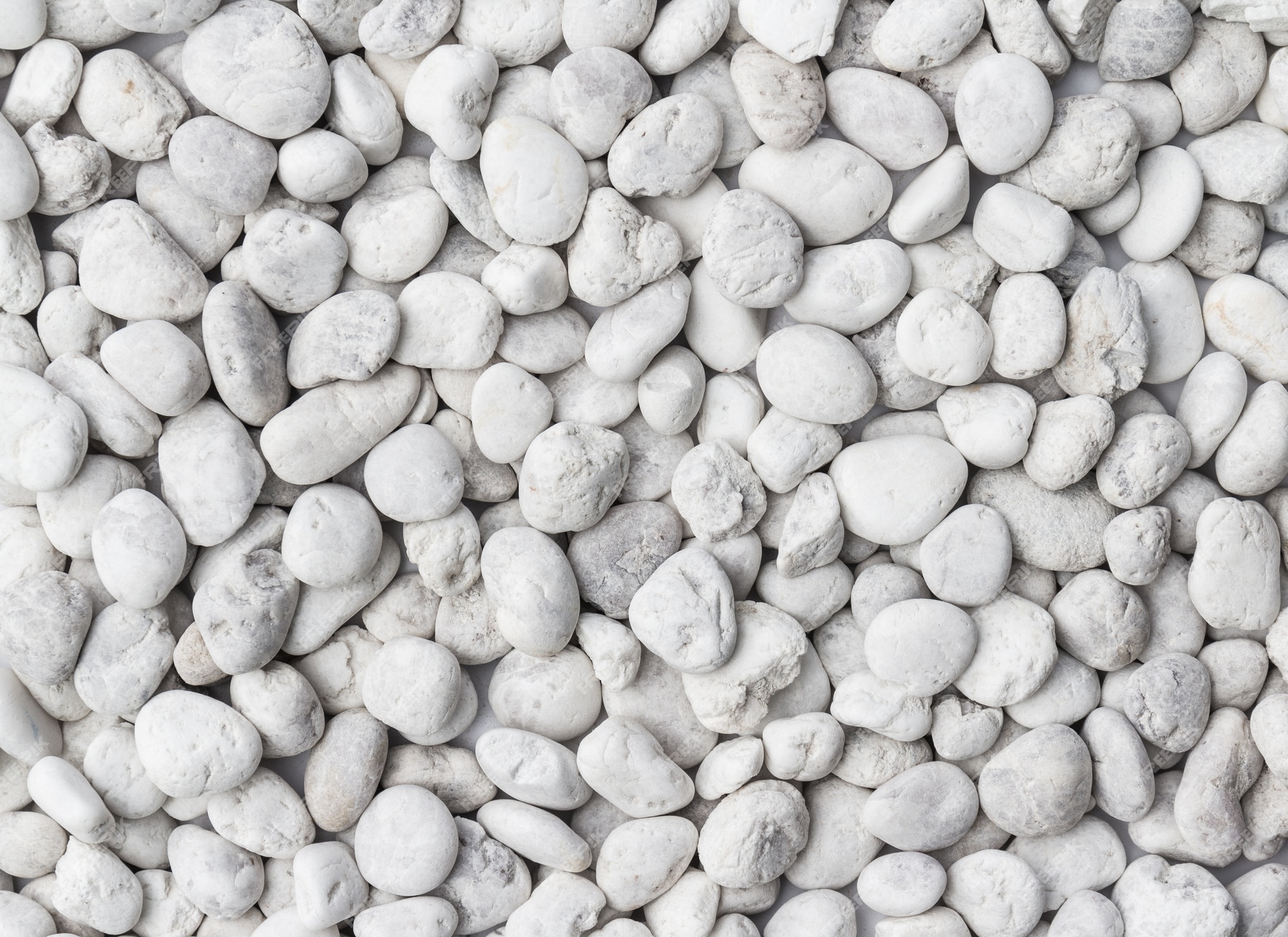 Seamless White Pebble Texture Seamless White Pebble Texture