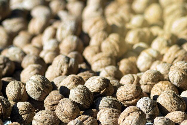 Premium Photo | Whole walnuts in shell Premium Photo | Whole walnuts in shell
