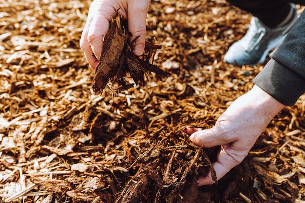 Premium Photo | Wood chips mulching composting. Premium Photo | Wood chips mulching composting.