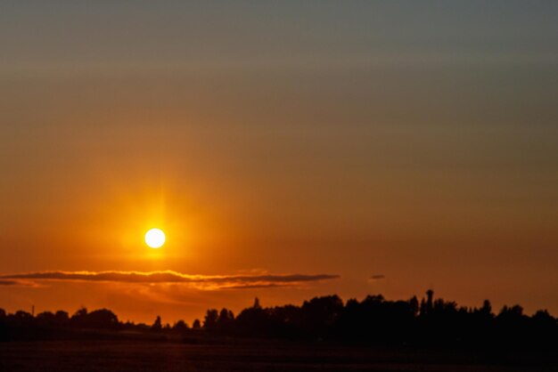 Premium Photo Yellow Golden Sunet In Forest Landscapesun In A Horizon