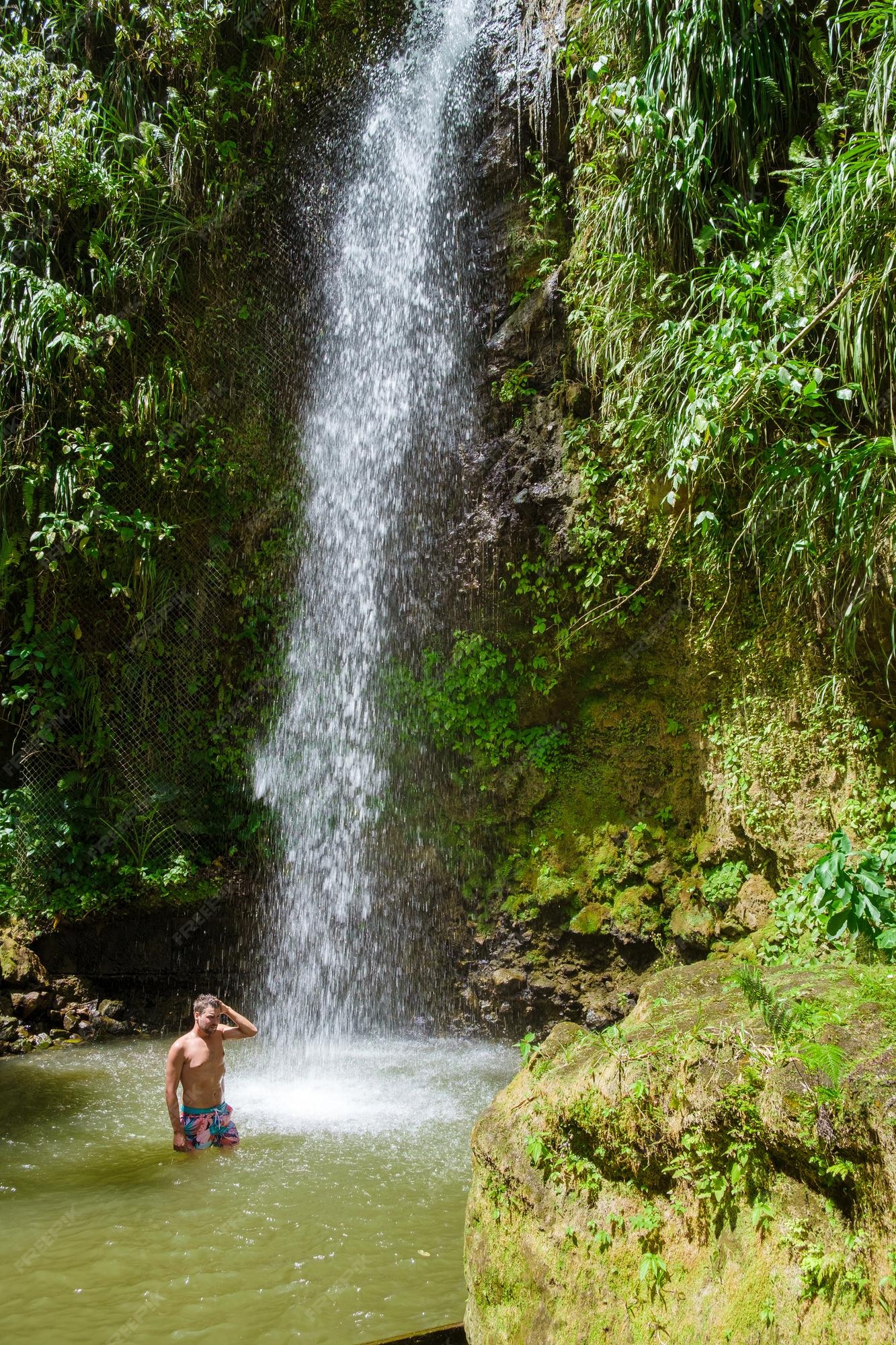 Premium Photo Young Men Relaxing At Toraille Waterfall St Lucia Saint Lucia Jungle Waterfall