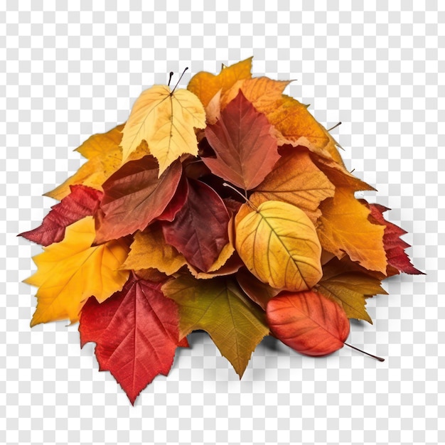 Premium PSD | Autumn leaf on transparency background psd Premium PSD | Autumn leaf on transparency background psd