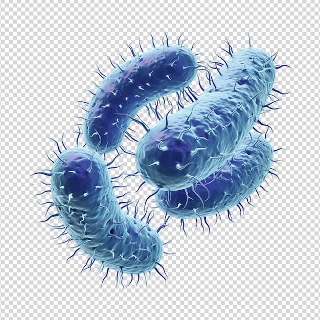 Premium PSD | Bacteria isolated on white background Premium PSD | Bacteria isolated on white background