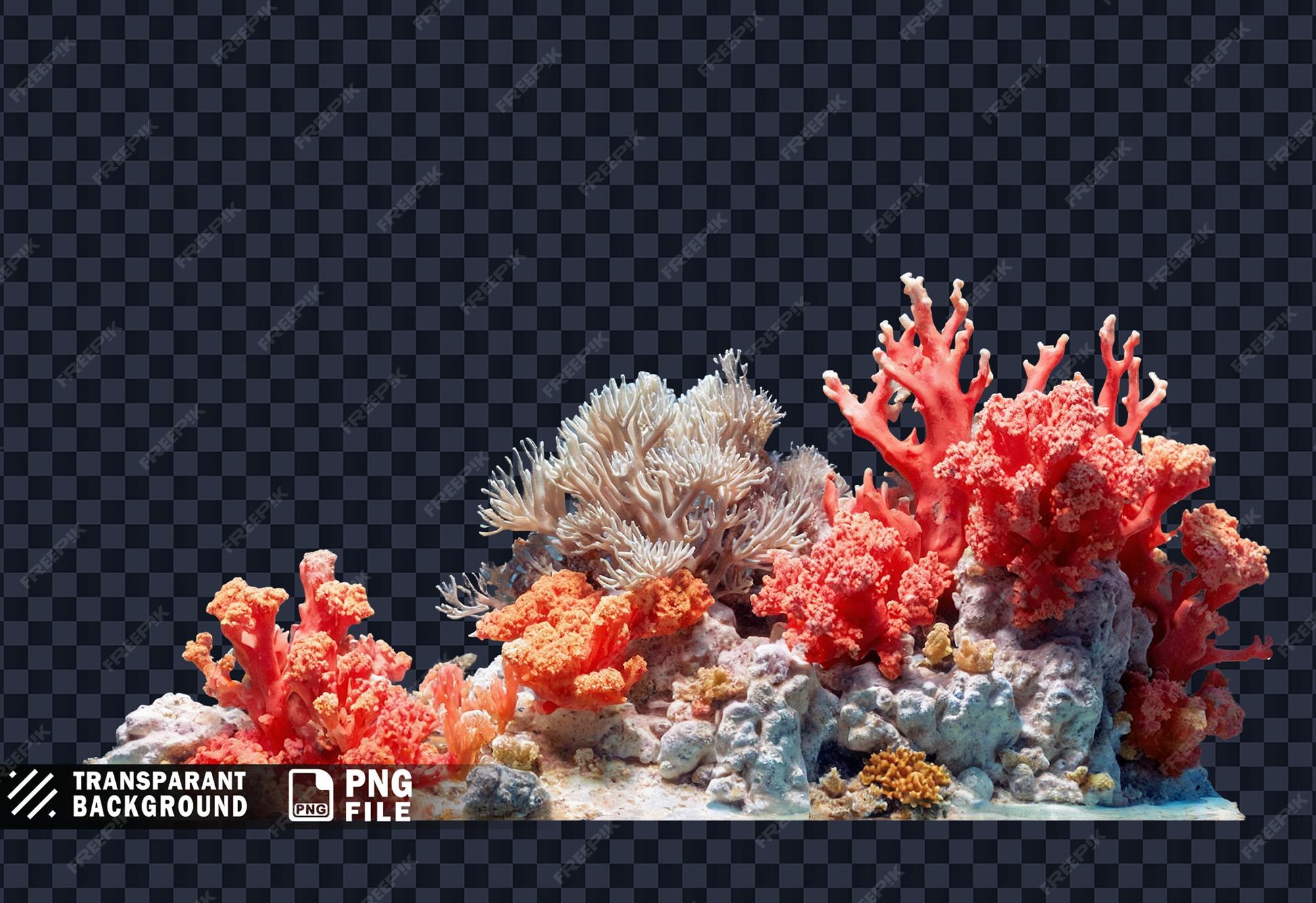 Corals Isolated on Transparent Background | Premium AI-generated PSD Corals Isolated on Transparent Background | Premium AI-generated PSD