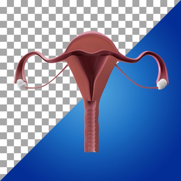 Woman Reproductive System PSD, High Quality Free PSD Templates for ... Woman Reproductive System PSD, High Quality Free PSD Templates for ...