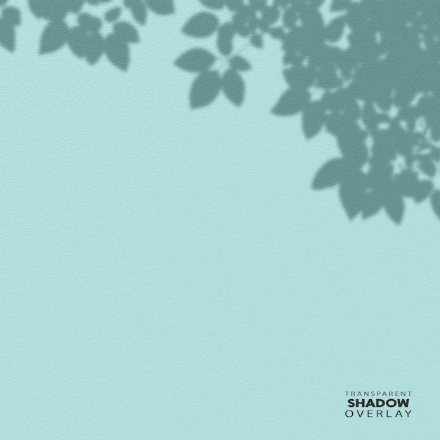 Premium PSD | Transparent shadow overlay template transparent plant ... Premium PSD | Transparent shadow overlay template transparent plant ...