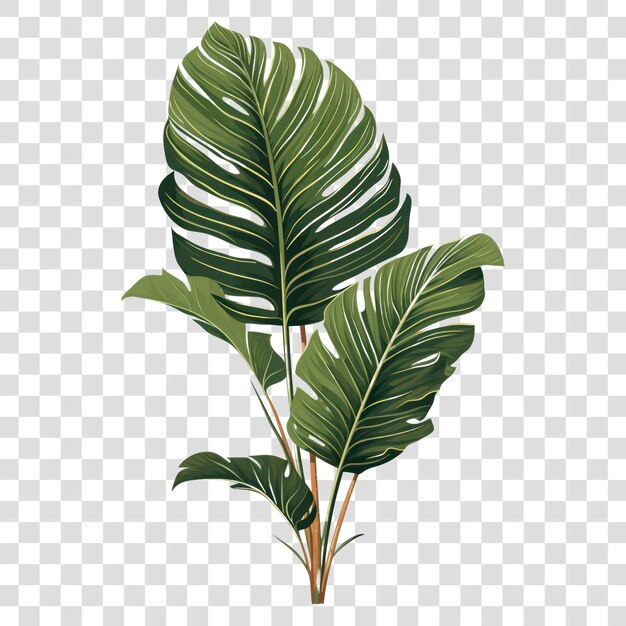 Palm Leaves Illustration PSD, 9,000+ High Quality Free PSD Templates ... Palm Leaves Illustration PSD, 9,000+ High Quality Free PSD Templates ...
