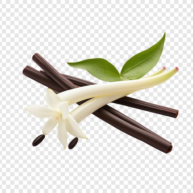 Aromatic Vanilla PSD, High Quality Free PSD Templates for Download Aromatic Vanilla PSD, High Quality Free PSD Templates for Download