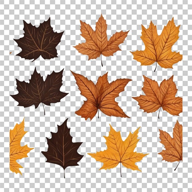 Premium PSD | Watercolor hand drawn autumn set leaves transparent ... Premium PSD | Watercolor hand drawn autumn set leaves transparent ...