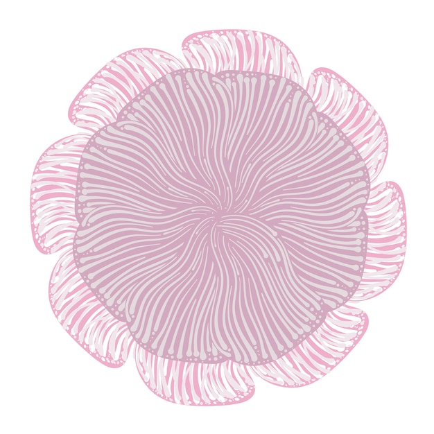 Premium Vector | Abstract floral shape vector graphic design element Premium Vector | Abstract floral shape vector graphic design element