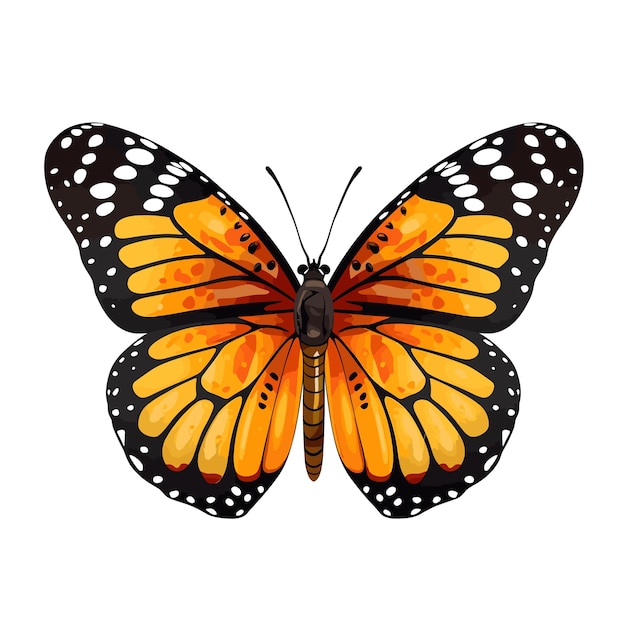 Premium Vector | African monarch butterfly vector illustration Premium Vector | African monarch butterfly vector illustration