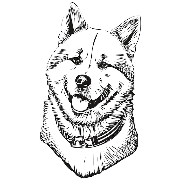 Premium Vector | Akita dog vector face drawing portrait sketch vintage ... Premium Vector | Akita dog vector face drawing portrait sketch vintage ...