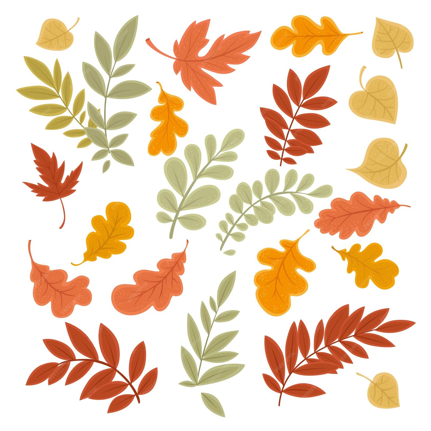 Premium Vector Autumn Leaves Red And Yellow Isolated On White Background