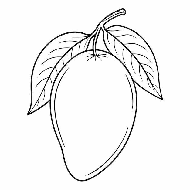 Premium Vector | Beautiful Mango Fruit Outline Coloring Book Premium Vector | Beautiful Mango Fruit Outline Coloring Book